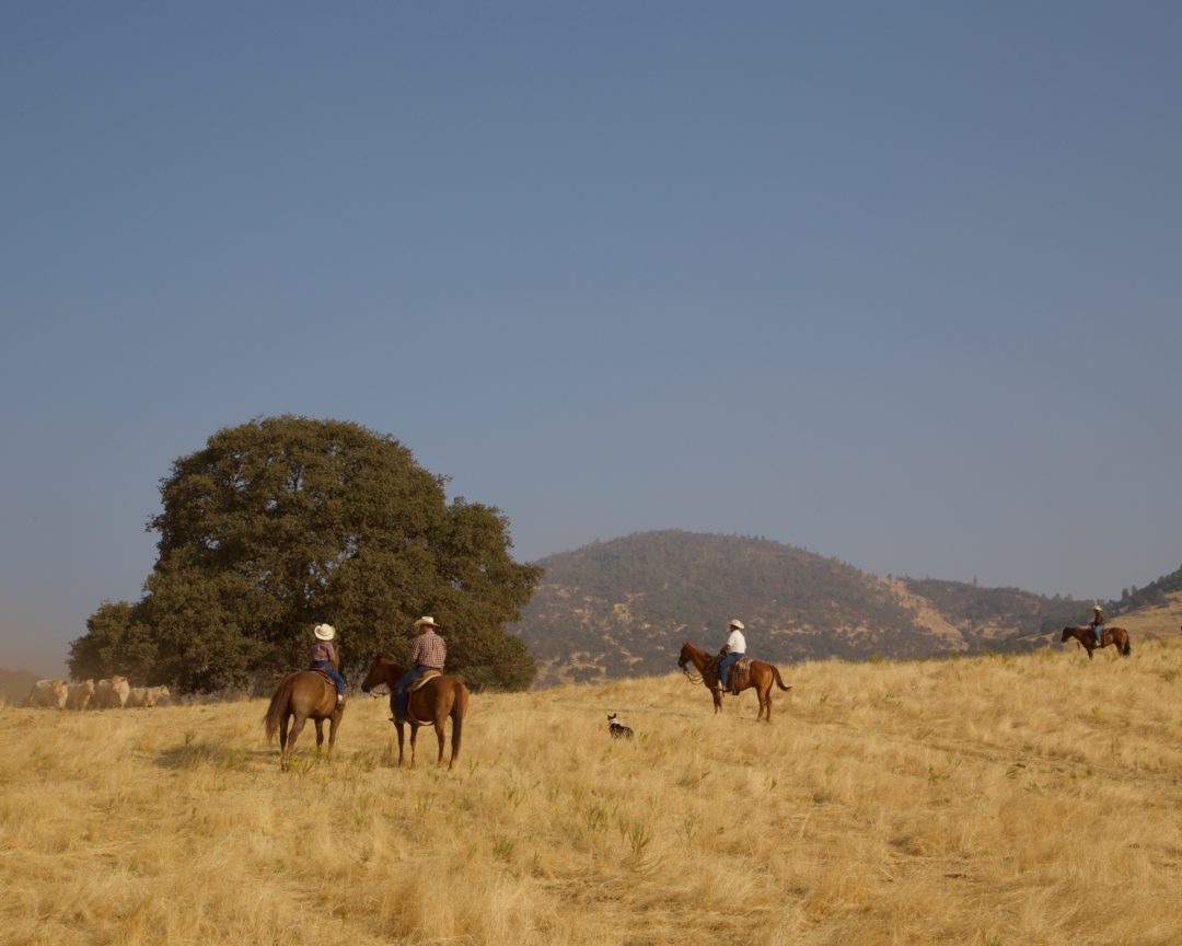 Last Gathering for the 5L, Mt Bullion, Lauren Hubert | California ...